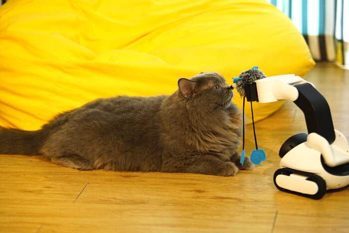 Gomer – AI Robot – Pranstek – your audio-visual products expert